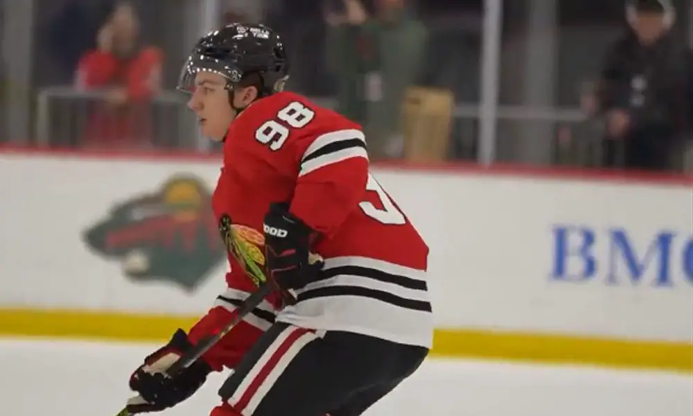 Connor Bedard: NHL Player Profile - Bio and Statistics